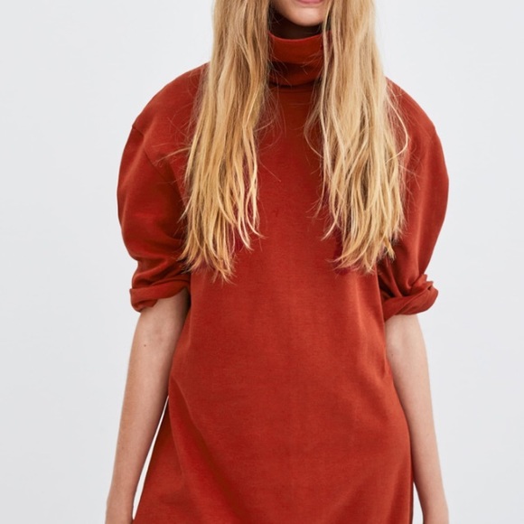 Zara | Dresses | Zara Russet Color Plush Dress | Poshmark
